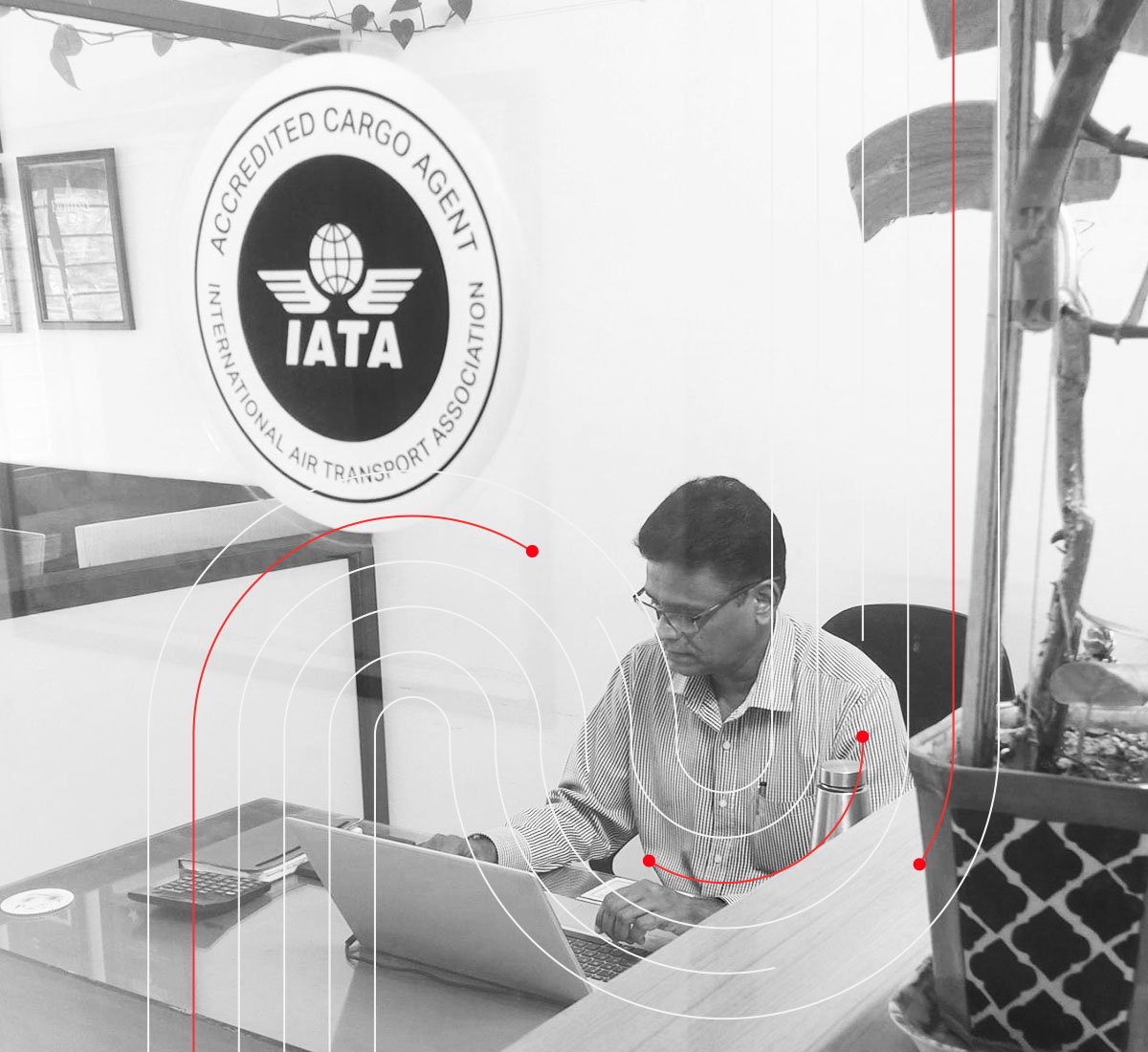 About ATA